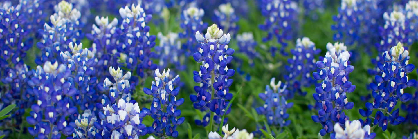 Folletos de Commission Shift - Commission Shift : Commission Shift