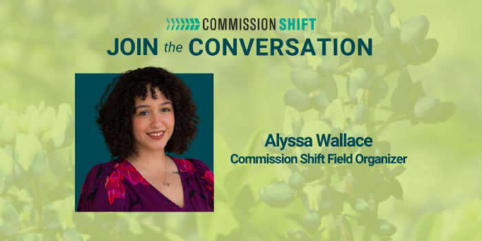 Get to Know the Faces Behind Commission Shift's Impact: Alyssa Wallace - Commission Shift ...